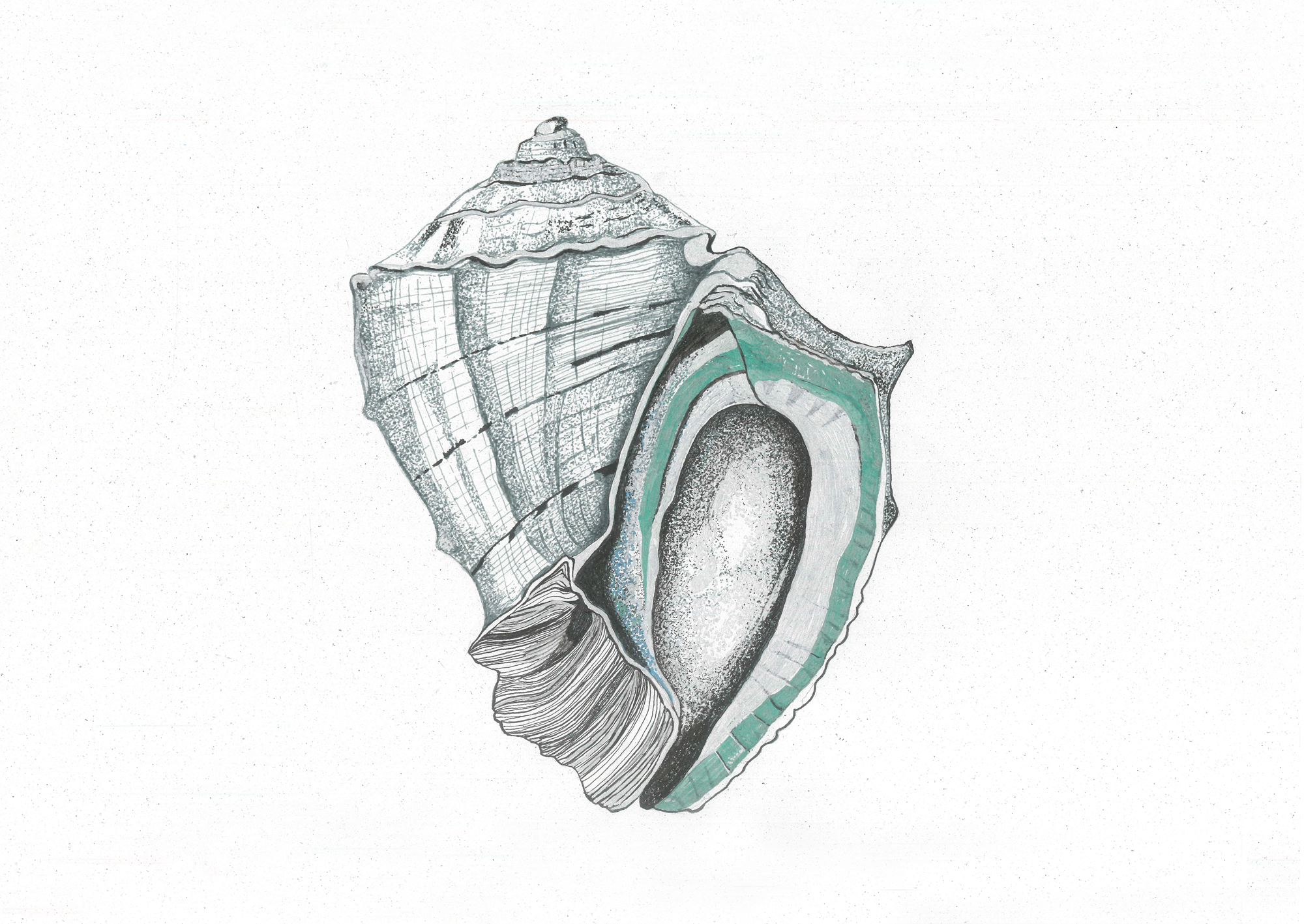 Your Listening is a Paracosm w/ Alifiyah Imani – Cashmere Radio